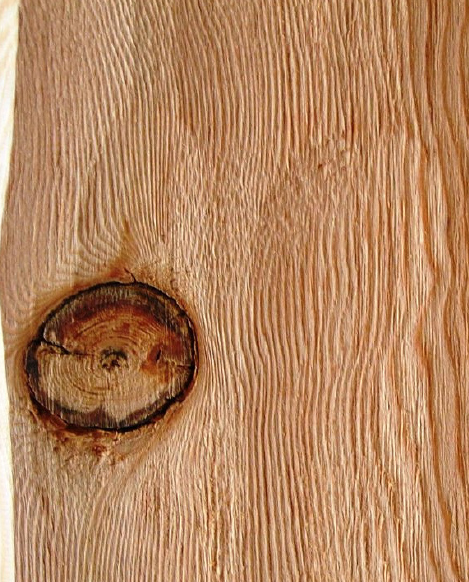 wood-texture-radius-hewn-wire-brushed - Colorado Timberframe