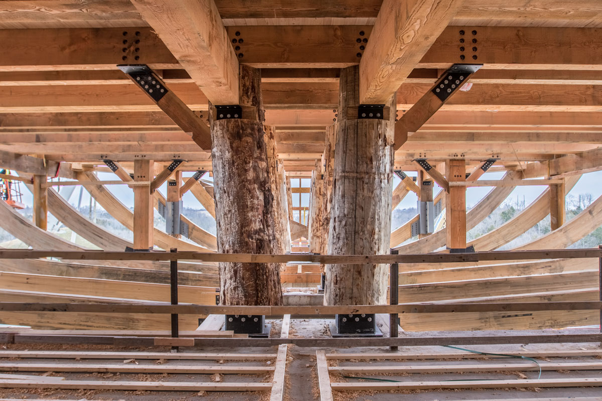 ARK Encounter - Colorado Timberframe